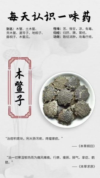 木鳖子治癌症特效_木鳖子抗癌偏方靠谱吗-第1张图片-山城妙识 木鳖子治癌症特效_木鳖子抗癌偏方靠谱吗-第1张图片-山城妙识