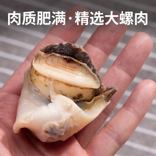 冻海螺肉怎么做好吃_冻海螺肉去腥技巧-第3张图片-山城妙识