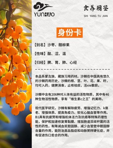 沙棘果干怎么吃最好_沙棘果干一天吃多少合适-第1张图片-山城妙识 沙棘果干怎么吃最好_沙棘果干一天吃多少合适-第1张图片-山城妙识