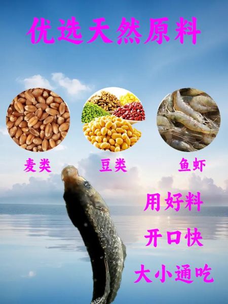 翘嘴鱼用什么饵料好钓_翘嘴鱼饵料配方大全-第2张图片-山城妙识
