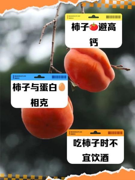 柿子不能和什么同吃_柿子与哪些食物相克-第3张图片-山城妙识