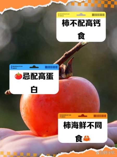 柿子不能和什么同吃_柿子与哪些食物相克-第2张图片-山城妙识