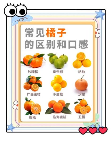 柑橘品种有哪些_常见柑橘品种大全-第2张图片-山城妙识