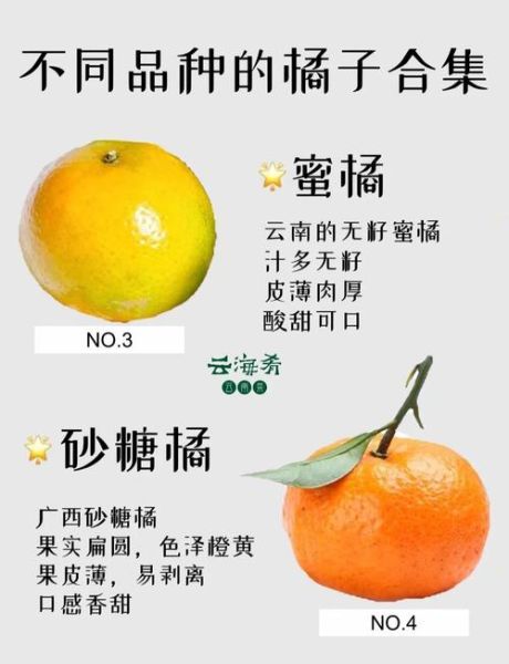 柑橘品种有哪些_常见柑橘品种大全-第1张图片-山城妙识