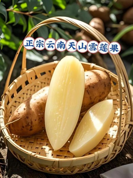 天山雪莲果可以生吃吗_生吃天山雪莲果的正确方法-第1张图片-山城妙识 天山雪莲果可以生吃吗_生吃天山雪莲果的正确方法-第1张图片-山城妙识