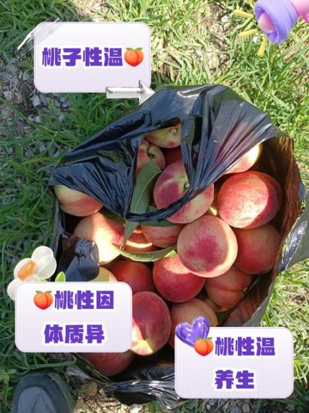 桃子是热性还是凉性_吃桃子会上火吗-第1张图片-山城妙识