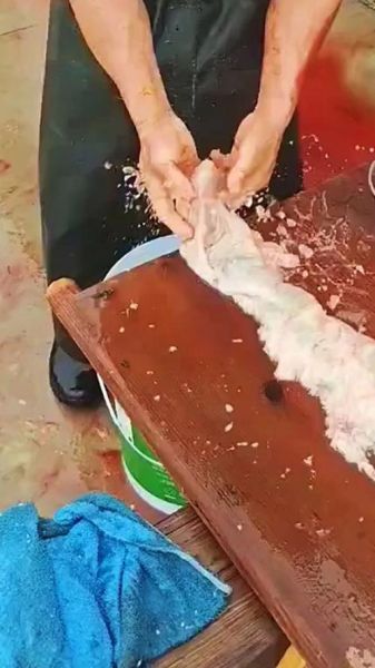 猪大肠怎么清洗才干净_猪大肠焯水几分钟-第3张图片-山城妙识 猪大肠怎么清洗才干净_猪大肠焯水几分钟-第3张图片-山城妙识