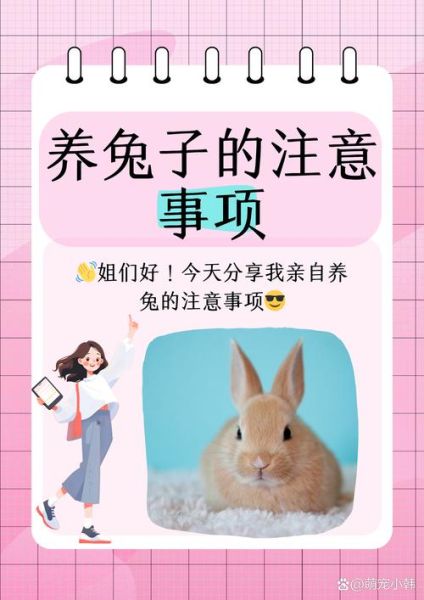 兔子为什么不能养三年_兔子寿命有多长-第3张图片-山城妙识 兔子为什么不能养三年_兔子寿命有多长-第3张图片-山城妙识