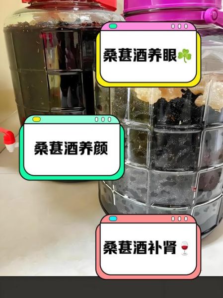 女人喝桑葚酒的好处和坏处_女人能长期喝桑葚酒吗-第3张图片-山城妙识