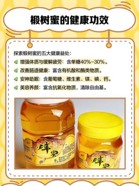 椴树蜜的功效与作用_椴树蜜多少钱一斤-第1张图片-山城妙识