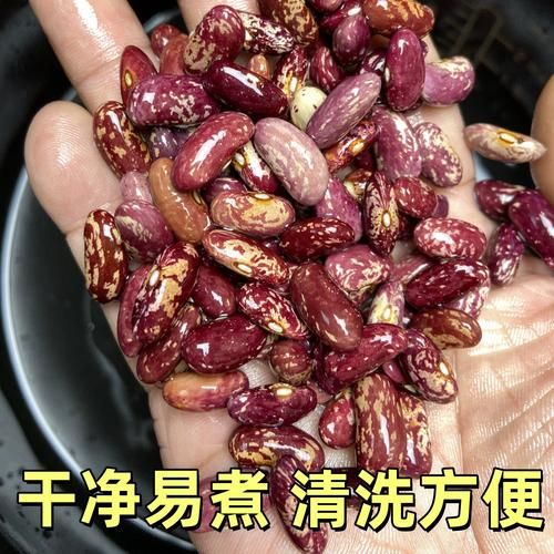 红芸豆怎么煮容易烂_红芸豆快速煮烂的方法-第2张图片-山城妙识