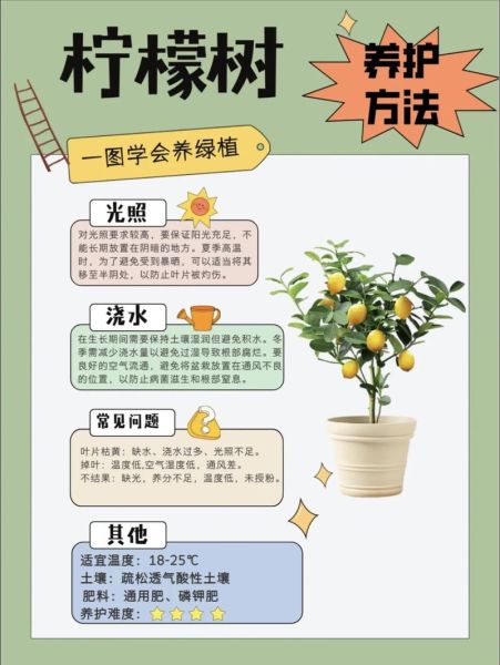 柠檬树怎么种植_柠檬树几年结果-第1张图片-山城妙识 柠檬树怎么种植_柠檬树几年结果-第1张图片-山城妙识