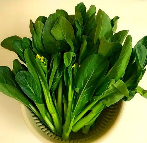 广东菜心是什么菜_广东菜心俗称叫什么-第1张图片-山城妙识 广东菜心是什么菜_广东菜心俗称叫什么-第1张图片-山城妙识