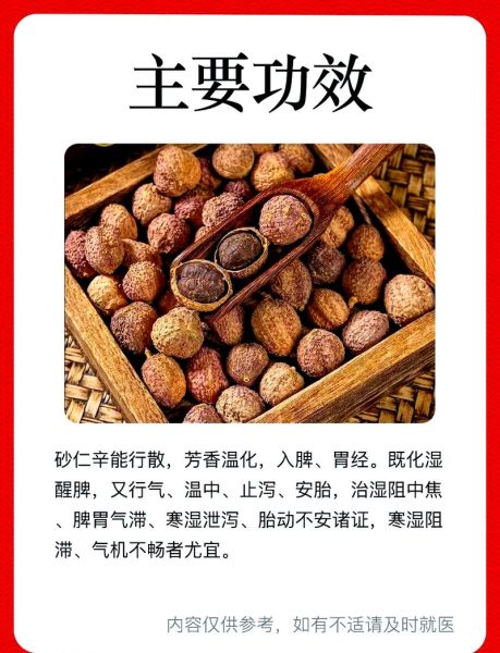 砂仁的功效与作用是什么_砂仁怎么吃效果最好-第3张图片-山城妙识
