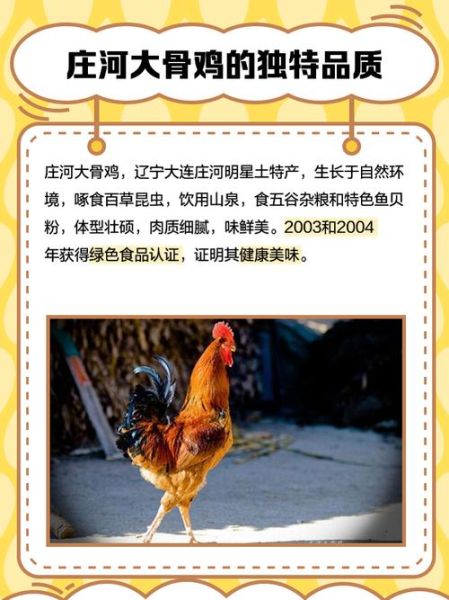 大骨鸡怎么做好吃_大骨鸡产地在哪里-第3张图片-山城妙识