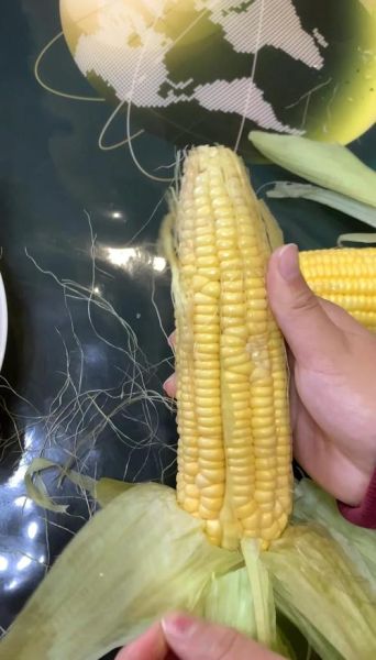 水果玉米冷水下锅煮多久_冷水煮水果玉米的正确时间-第2张图片-山城妙识