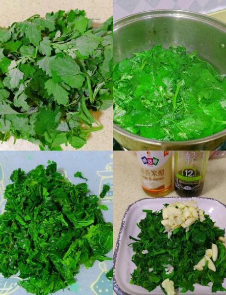 灰灰菜怎么做好吃_灰灰菜凉拌做法大全-第1张图片-山城妙识