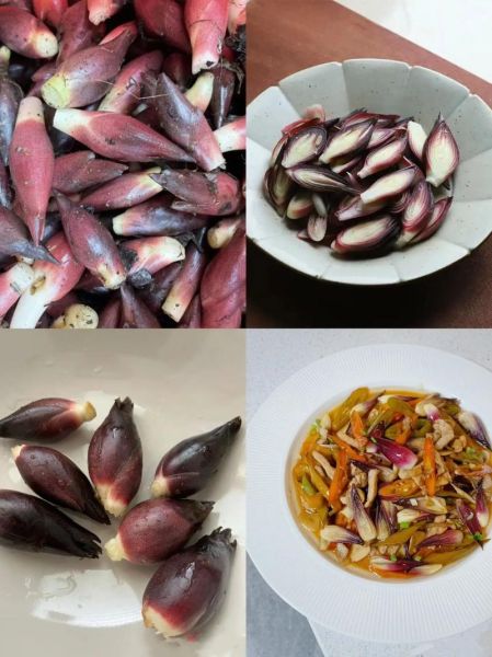 阳荷姜图片大全_阳荷姜和洋姜一样吗-第1张图片-山城妙识