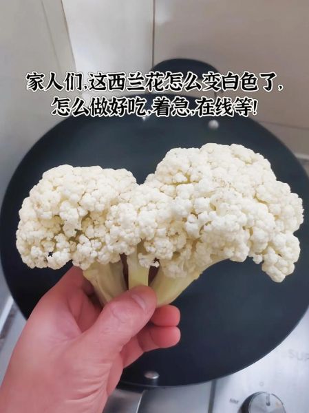 白色西兰花能吃吗_白色西兰花怎么做好吃-第3张图片-山城妙识