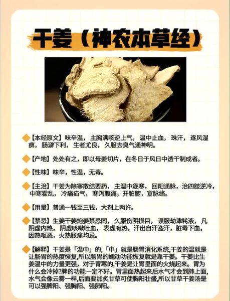 干姜泡水喝的功效_干姜泡水怎么喝才有效-第1张图片-山城妙识