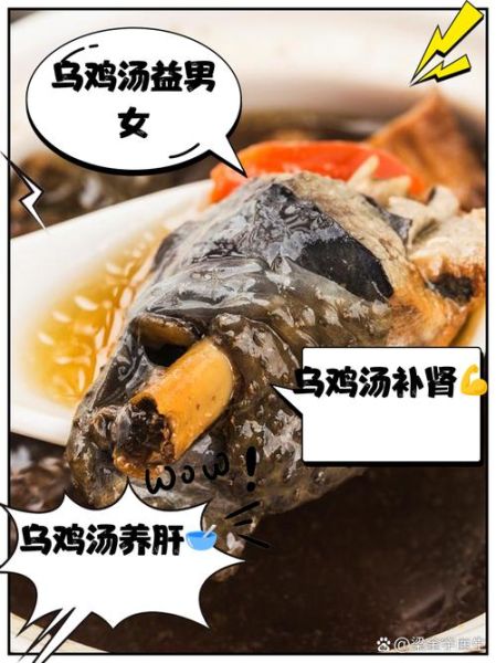 男人为什么不能吃乌鸡汤_乌鸡汤对男性的影响-第1张图片-山城妙识 男人为什么不能吃乌鸡汤_乌鸡汤对男性的影响-第1张图片-山城妙识
