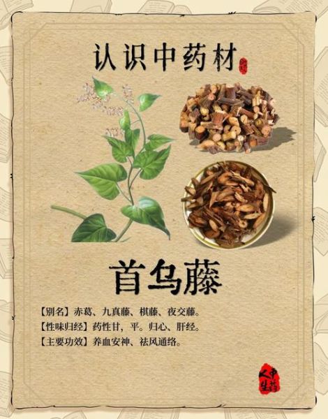 首乌藤有毒吗_首乌藤副作用与禁忌-第1张图片-山城妙识