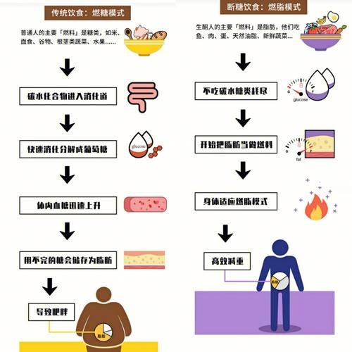 生酮饮食法减肥食谱_如何科学安排一日三餐-第2张图片-山城妙识