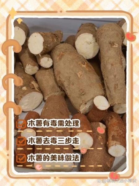 木薯怎么吃不中毒_木薯中毒怎么办-第3张图片-山城妙识 木薯怎么吃不中毒_木薯中毒怎么办-第3张图片-山城妙识