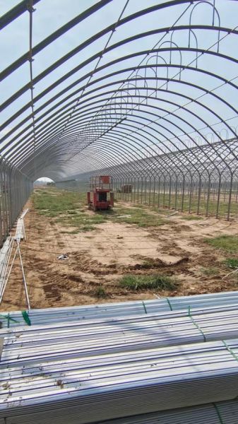 蔬菜大棚怎么搭建_蔬菜大棚搭建方法-第1张图片-山城妙识