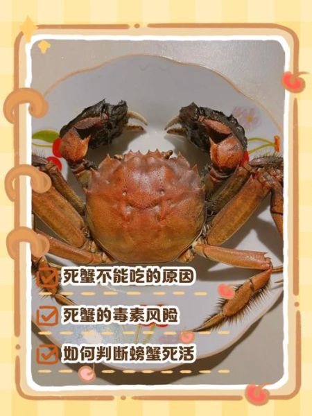 螃蟹才死还能吃吗_如何判断螃蟹新鲜度-第1张图片-山城妙识 螃蟹才死还能吃吗_如何判断螃蟹新鲜度-第1张图片-山城妙识