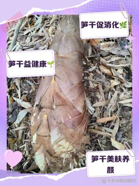 笋干的功效与作用禁忌_什么人不能吃笋干-第1张图片-山城妙识