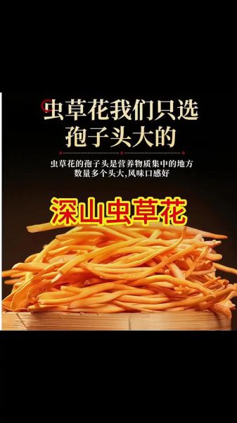 金虫草怎么吃效果最好_金虫草最佳食用方法-第3张图片-山城妙识 金虫草怎么吃效果最好_金虫草最佳食用方法-第3张图片-山城妙识