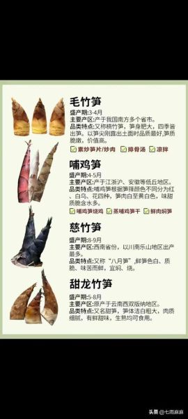 竹笋品种大全图解_哪种竹笋最好吃-第3张图片-山城妙识
