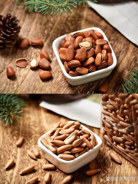 巴西松子产地在哪里_巴西松子和东北松子区别-第3张图片-山城妙识 巴西松子产地在哪里_巴西松子和东北松子区别-第3张图片-山城妙识