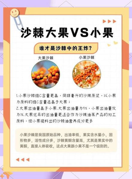 沙棘果和猕猴桃哪个维生素c高_沙棘果维生素c含量对比-第1张图片-山城妙识 沙棘果和猕猴桃哪个维生素c高_沙棘果维生素c含量对比-第1张图片-山城妙识