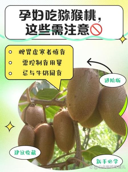 孕妇吃猕猴桃对胎儿好吗_孕期吃猕猴桃的好处与禁忌-第2张图片-山城妙识 孕妇吃猕猴桃对胎儿好吗_孕期吃猕猴桃的好处与禁忌-第2张图片-山城妙识