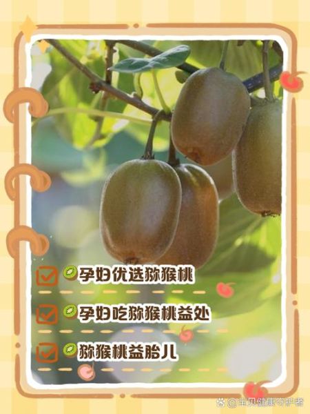 孕妇吃猕猴桃对胎儿好吗_孕期吃猕猴桃的好处与禁忌-第1张图片-山城妙识 孕妇吃猕猴桃对胎儿好吗_孕期吃猕猴桃的好处与禁忌-第1张图片-山城妙识