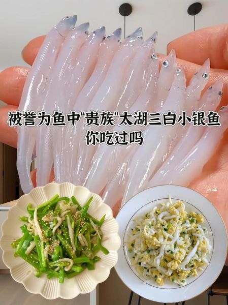 油炸银鱼怎么做_油炸银鱼酥脆不掉渣技巧-第2张图片-山城妙识