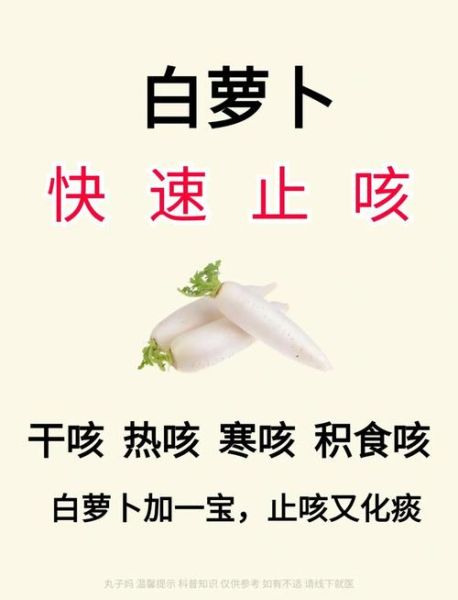 白萝卜汤治咳嗽吗_白萝卜汤怎么做止咳-第1张图片-山城妙识 白萝卜汤治咳嗽吗_白萝卜汤怎么做止咳-第1张图片-山城妙识