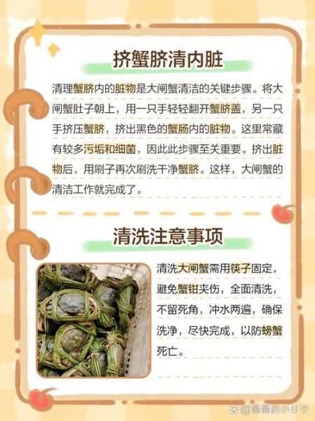 大闸蟹怎么清洗干净_大闸蟹清洗视频教程-第3张图片-山城妙识