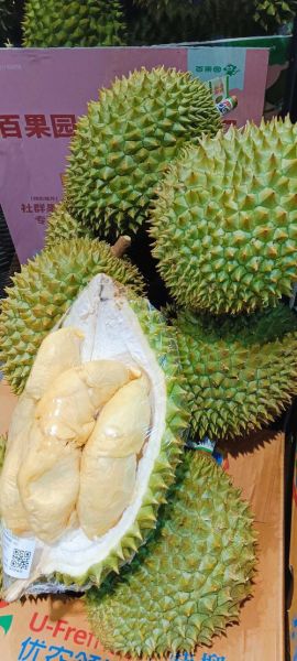 榴莲app旧版本安装教程_旧版本还能用吗-第3张图片-山城妙识