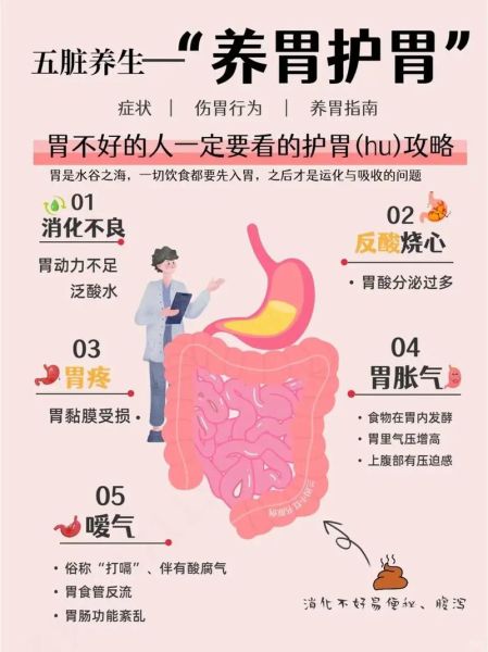 肠胃不好的人怎么调理_肠胃不好吃什么食物好-第2张图片-山城妙识 肠胃不好的人怎么调理_肠胃不好吃什么食物好-第2张图片-山城妙识