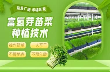 芽苗菜设备多少钱_芽苗菜机器价格是多少-第1张图片-山城妙识