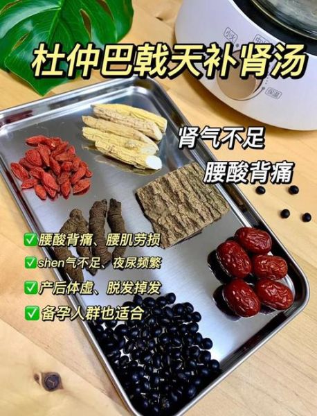 巴戟杜仲的功效与作用_适合哪些人吃-第1张图片-山城妙识