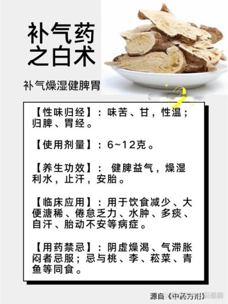 白术的功效与作用及用量_白术一天吃多少克合适-第1张图片-山城妙识