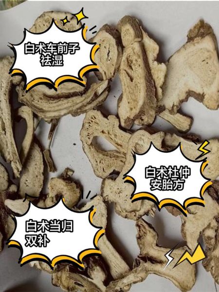 白术的功效与作用及用量_白术一天吃多少克合适-第3张图片-山城妙识