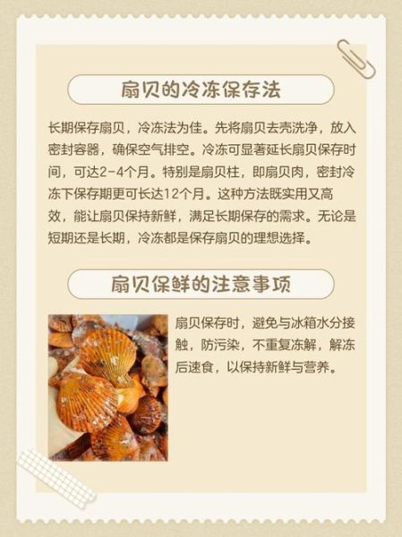 带壳扇贝怎么清洗_带壳扇贝蒸多久才熟-第1张图片-山城妙识