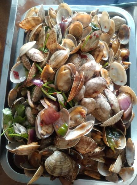 带壳扇贝怎么清洗_带壳扇贝蒸多久才熟-第2张图片-山城妙识