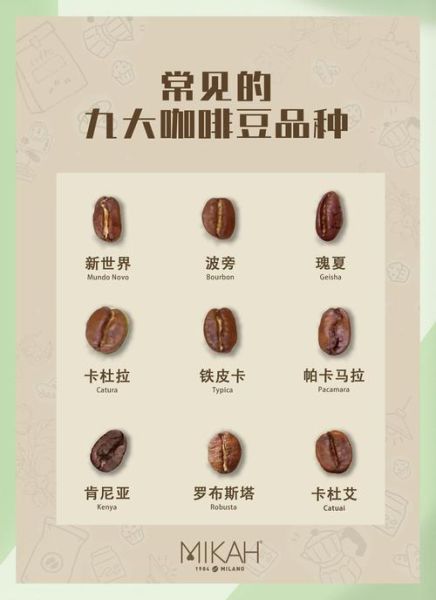 世界十大咖啡品牌哪个好喝_如何挑选适合自己的咖啡豆-第1张图片-山城妙识 世界十大咖啡品牌哪个好喝_如何挑选适合自己的咖啡豆-第1张图片-山城妙识