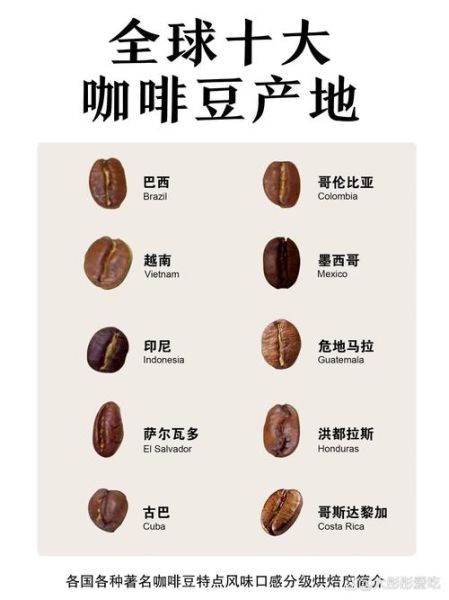 世界十大咖啡品牌哪个好喝_如何挑选适合自己的咖啡豆-第3张图片-山城妙识 世界十大咖啡品牌哪个好喝_如何挑选适合自己的咖啡豆-第3张图片-山城妙识